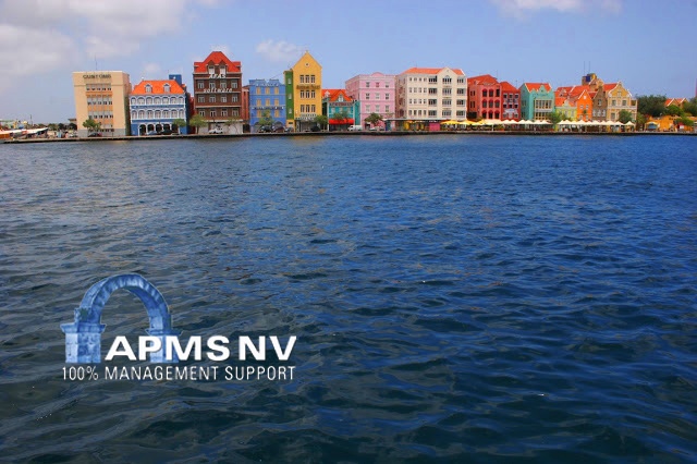 APMS-NV - 100% MANAGEMENT SUPPORT